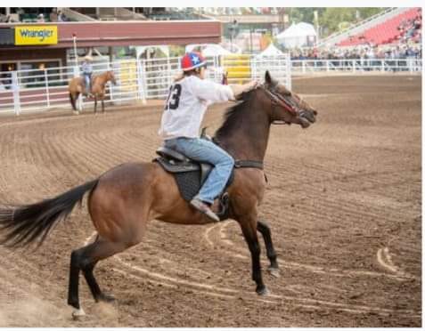 IOWA OUTRIDER REFLECTS ON WPCA EXPERIENCE - Official Website of the ...