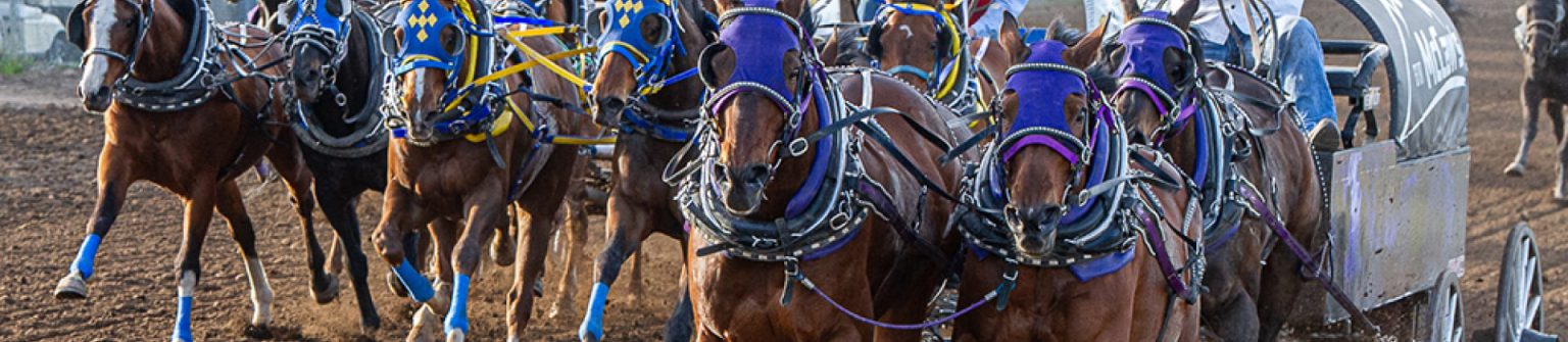Ray Mitsuing, Gary Gorst, Rod Lyman And Clint Johnson Honoured With The ...