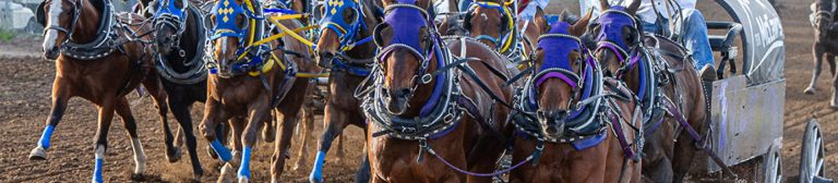 Chanse Vigen Breaks Through With The Top Time On Night 4 At the 2025 ...