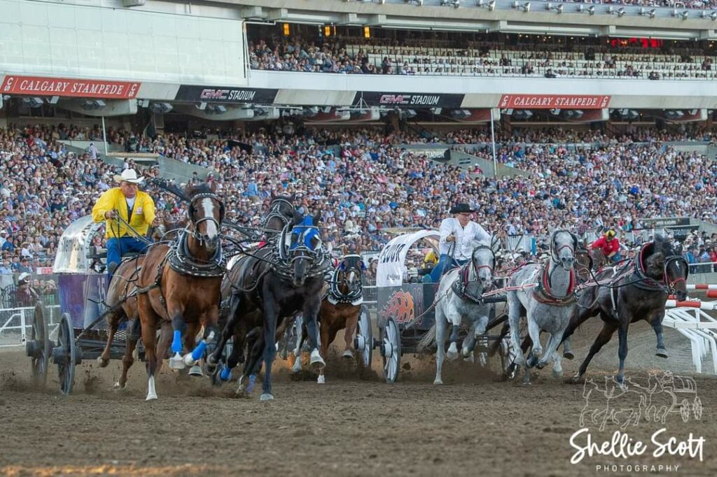 News & Updates - WPCA