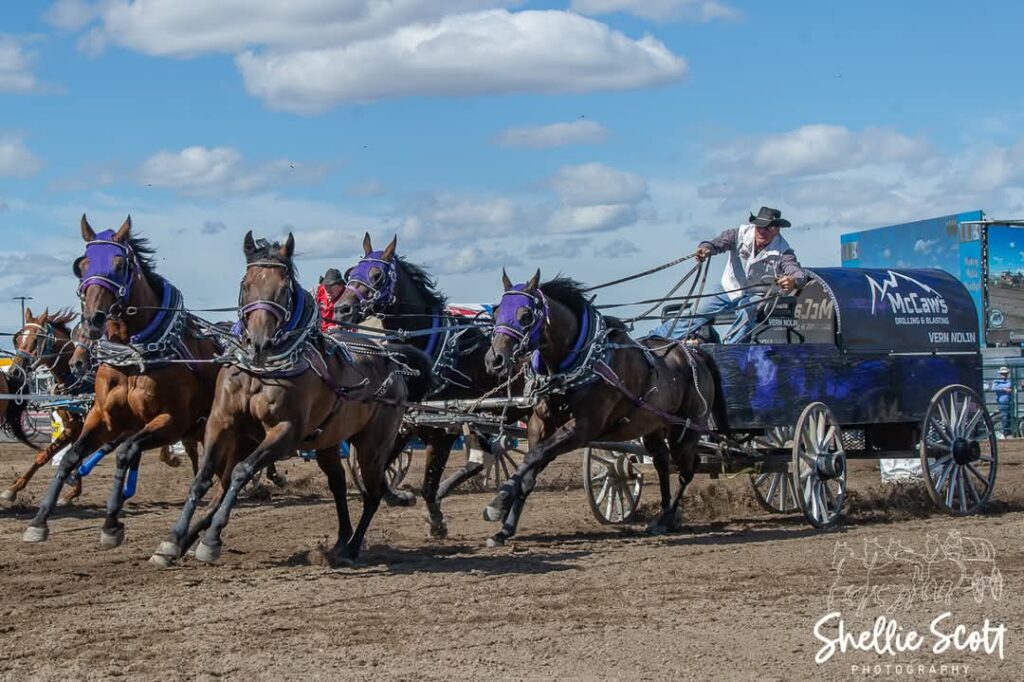 GET TO KNOW THE 10 PERMIT DRIVERS FOR 2025 - WPCA