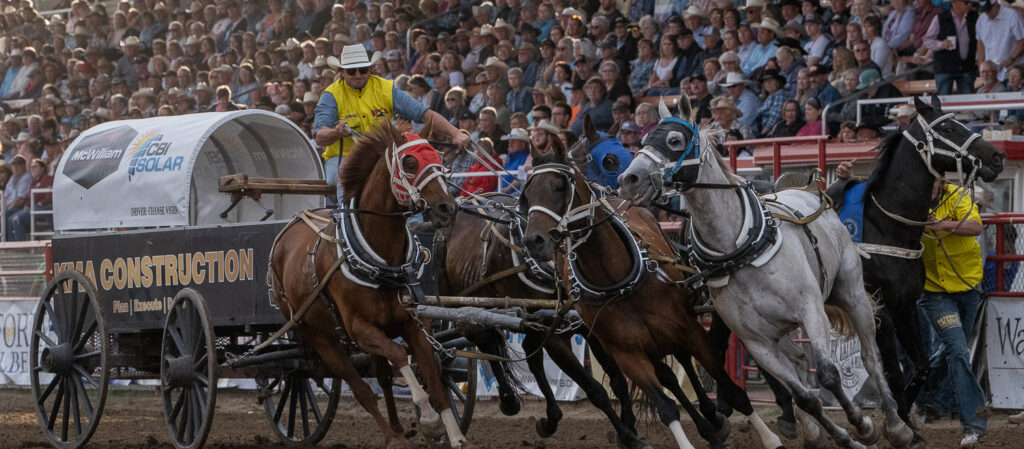 WATCH - WPCA