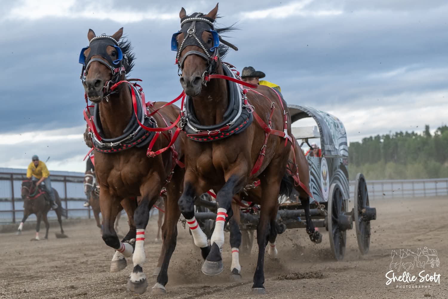 WPCA Opens 2026 Permit Driver Applications - WPCA